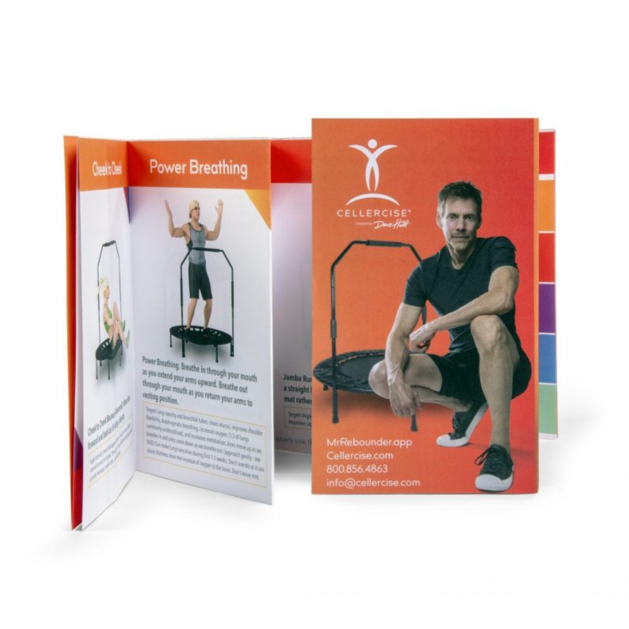 Rebounder Trampoline Exercise Guide | Cellerciser Workout Guide ...